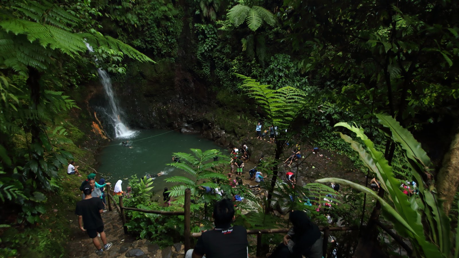 Taman Nasional Gunung Halimun Salak: Mengunjungi Curug Ciparay Muara ...