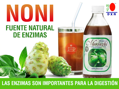 ¿POR QUE CONSUMIR MORINZYME? - DXN SALUD - Dxn Salud y Nutrición