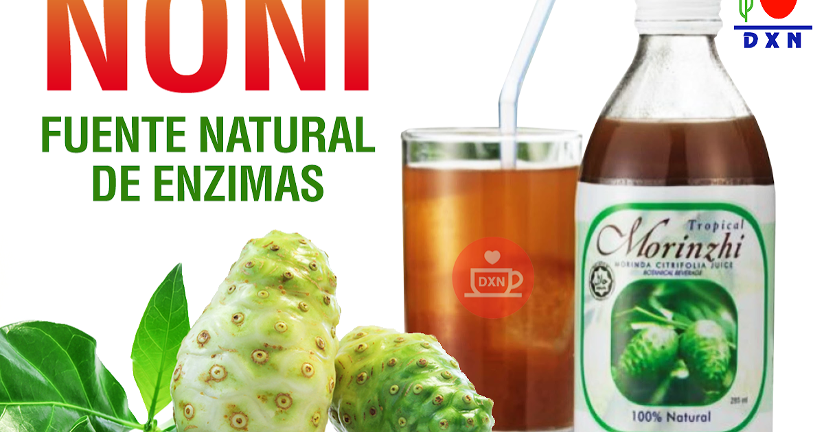 ¿POR QUE CONSUMIR MORINZYME? - DXN SALUD - Dxn Salud y Nutrición