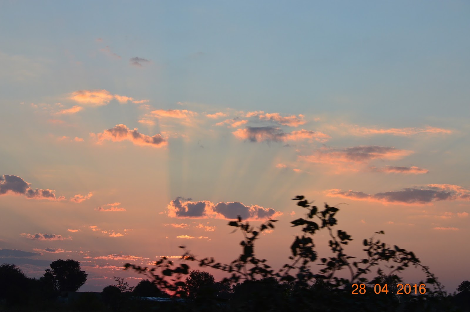 Angola, A Viagem: Jantar em Xangongo