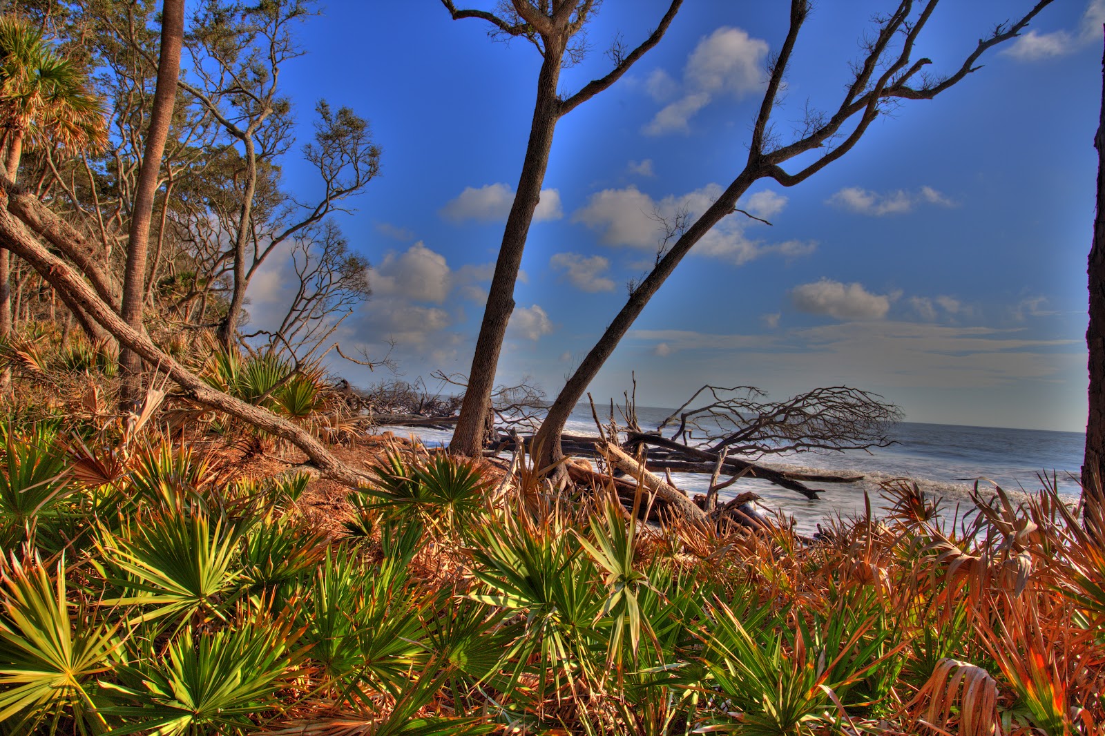 Lincoln's Domain: Hunting Island State Park in HDR