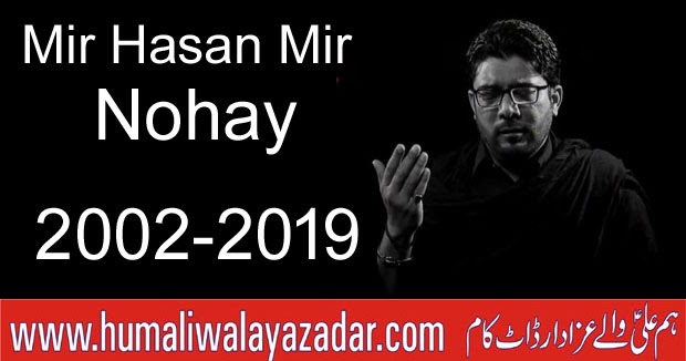 Mir Hasan Mir Nohay 2002 to 2019 ~ hum ali walay azadar