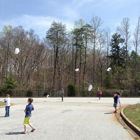 Holden's Ranch: How does wind move objects?