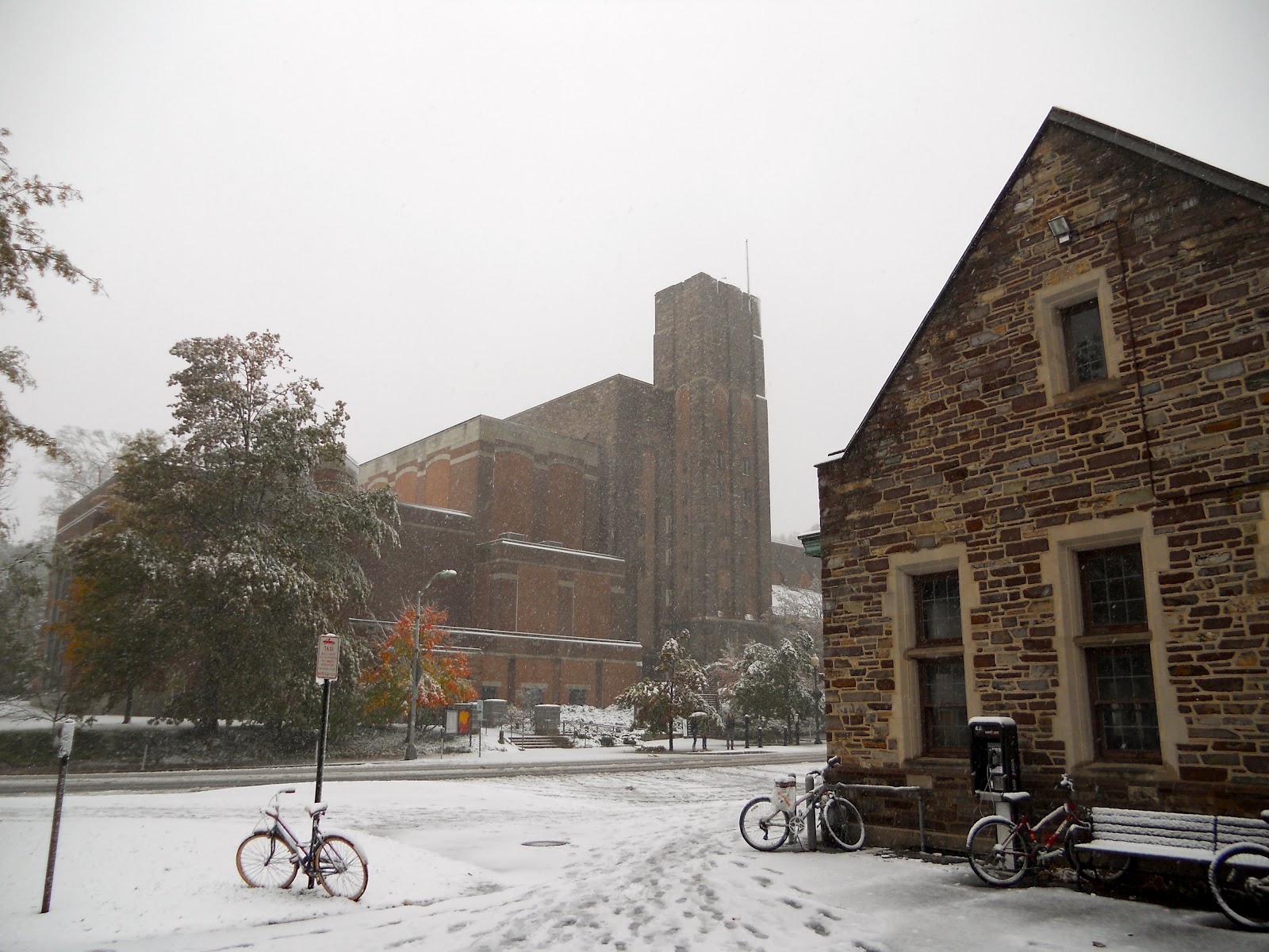 Nature Photography: First Snow at Princeton