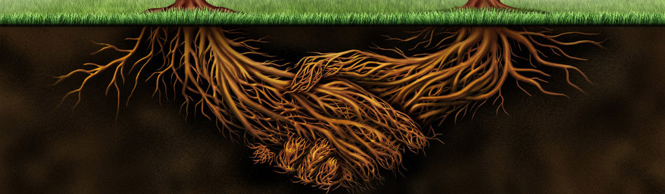 SacroProfanoSacro: Alla radice.