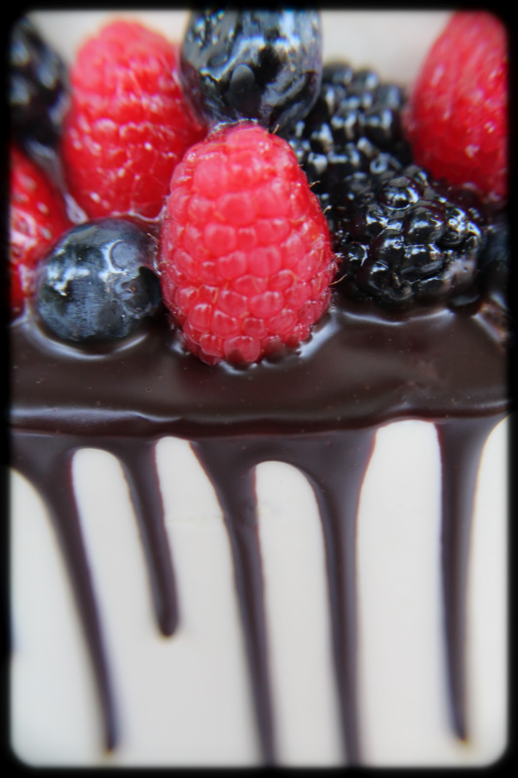 Who's Z? Creations///Rebeca Greene Photography: Let them eat cake