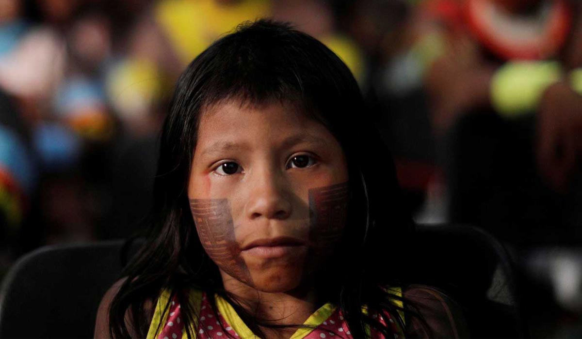 Um milhão de indígenas brasileiros buscam alternativas para sobreviver