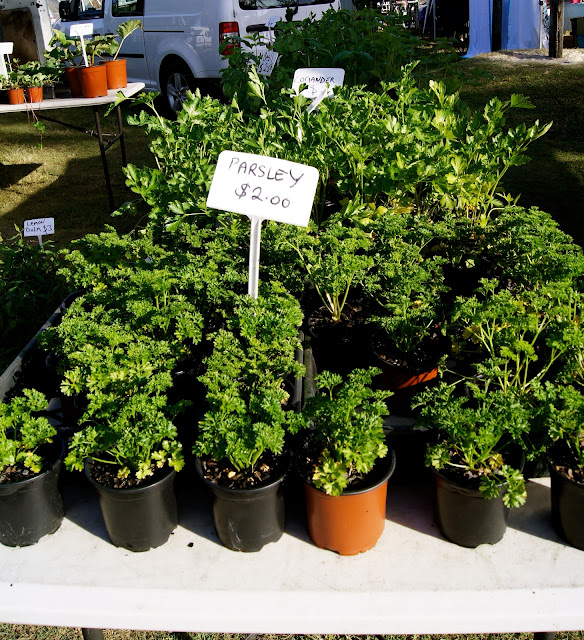 Sea You Around: Peregian Beach Markets