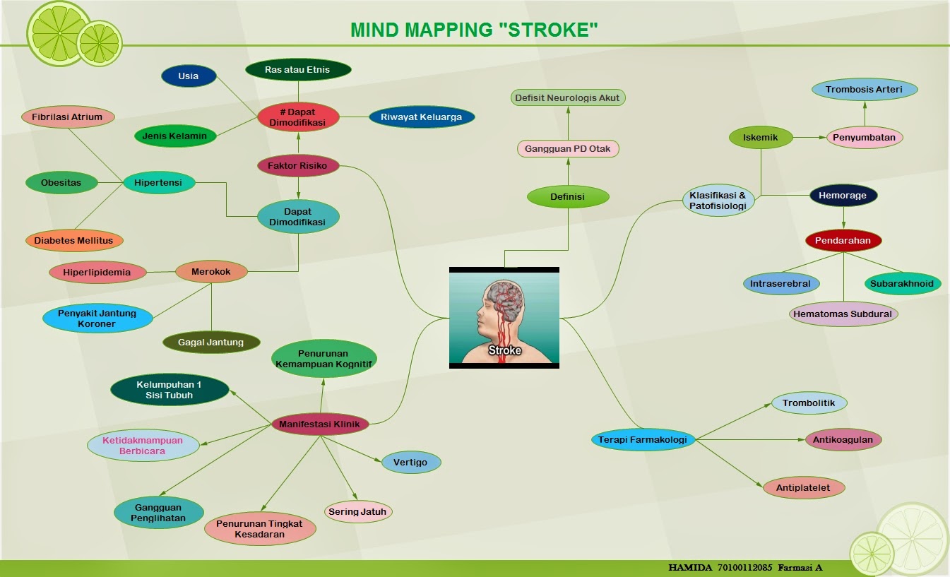 Hamida Kahlil: Mind Mapping Stroke