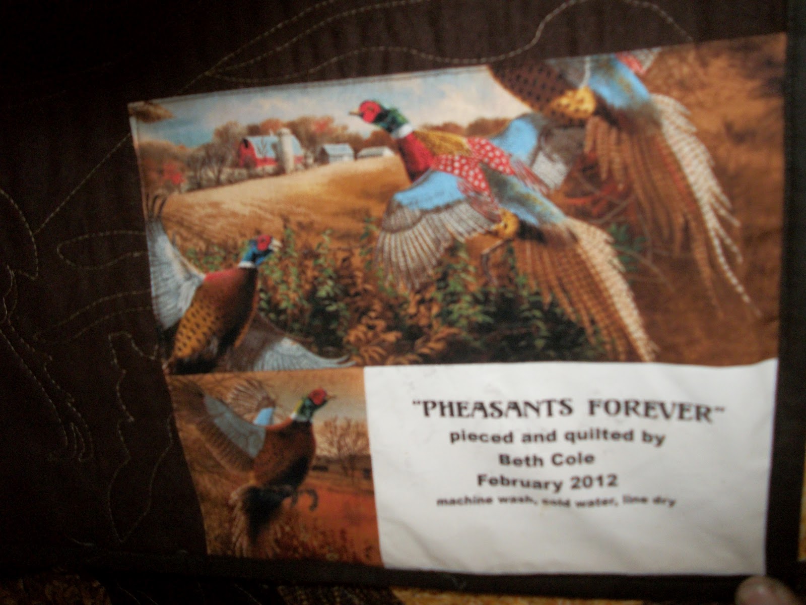 Willow Lake Stitches: A New Pheasant Quilt