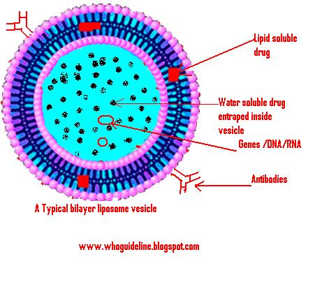 Samarth Pharma: liposome drug delivery system