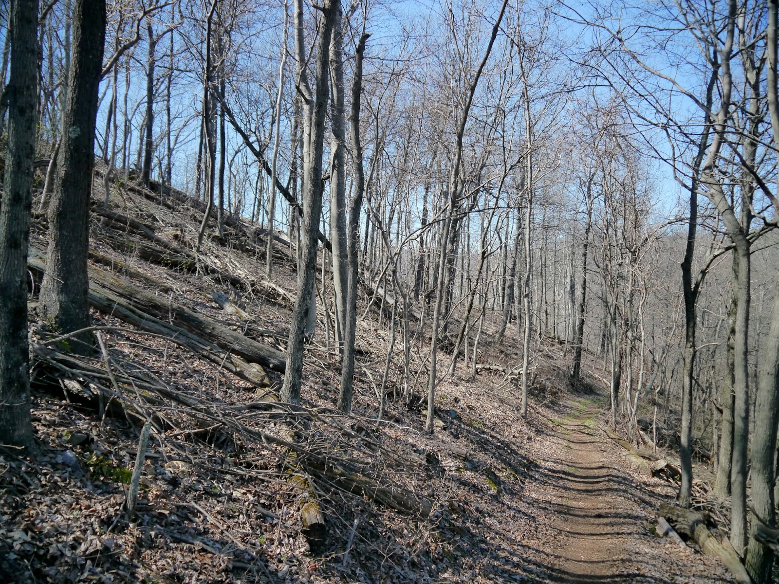 American Travel Journal: Riprap Trailhead to Blackrock Gap ...