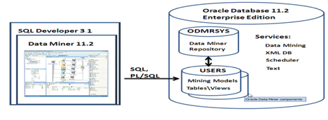 BI Direct: Oracle Data Mining (ODM) Architecture