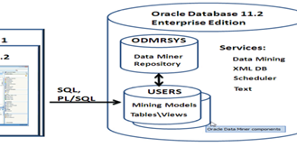 BI Direct: Oracle Data Mining (ODM) Architecture
