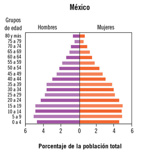COMPOSICIÓN DE LA POBLACIÓN