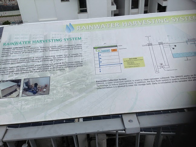 Water Quality in Singapore: Rainwater harvesting in HDB flats? Check ...