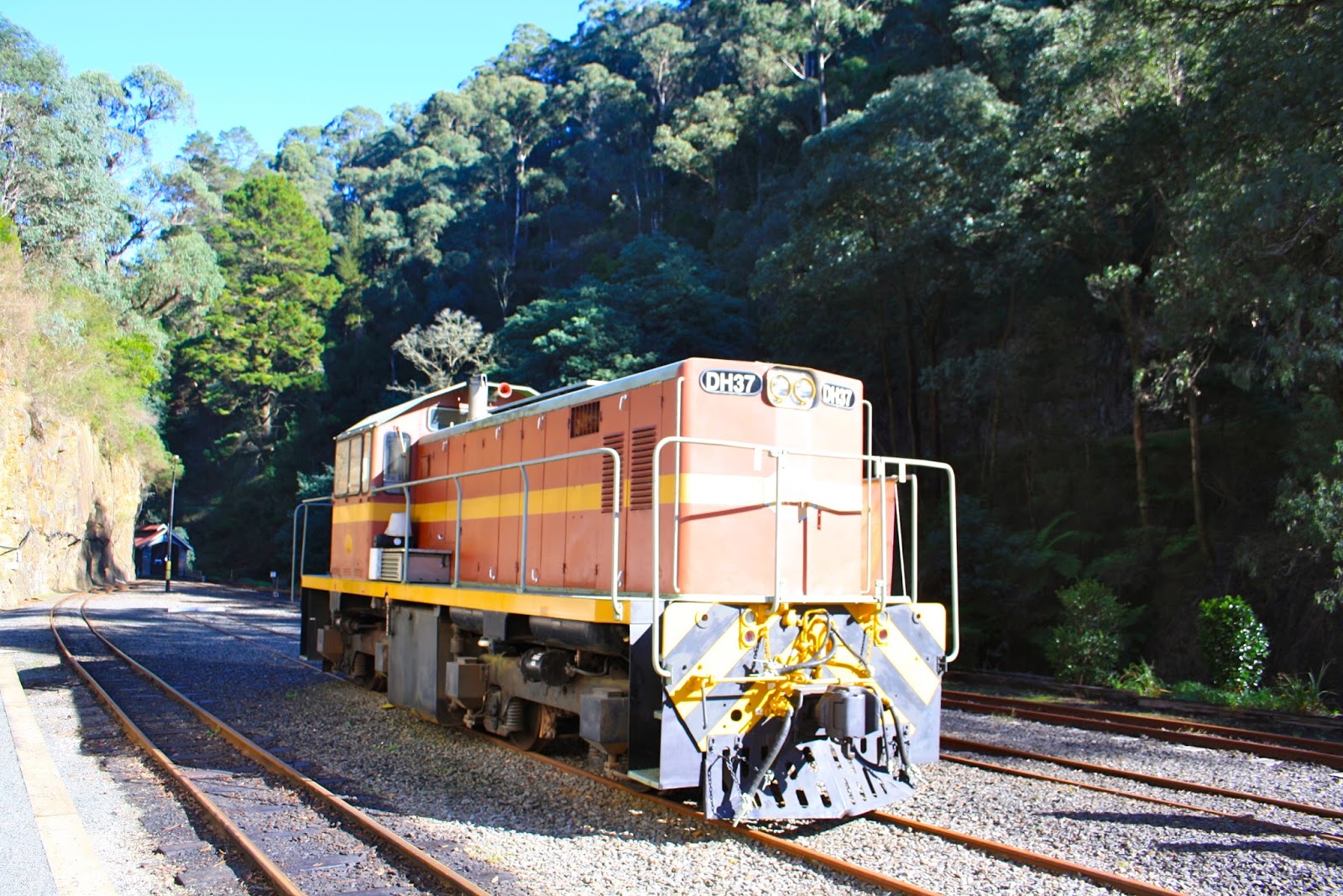 RDO Melbourne: Walhalla Goldfields Railway