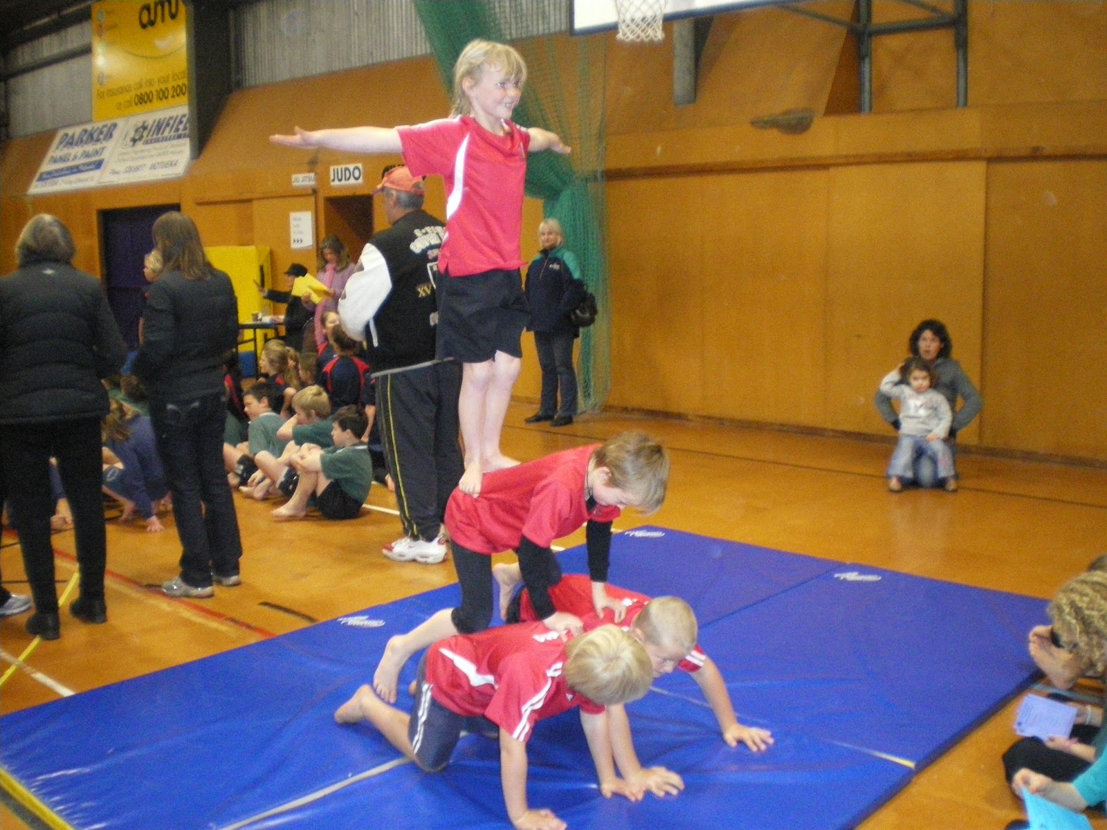 nats contribution: school gymnastics