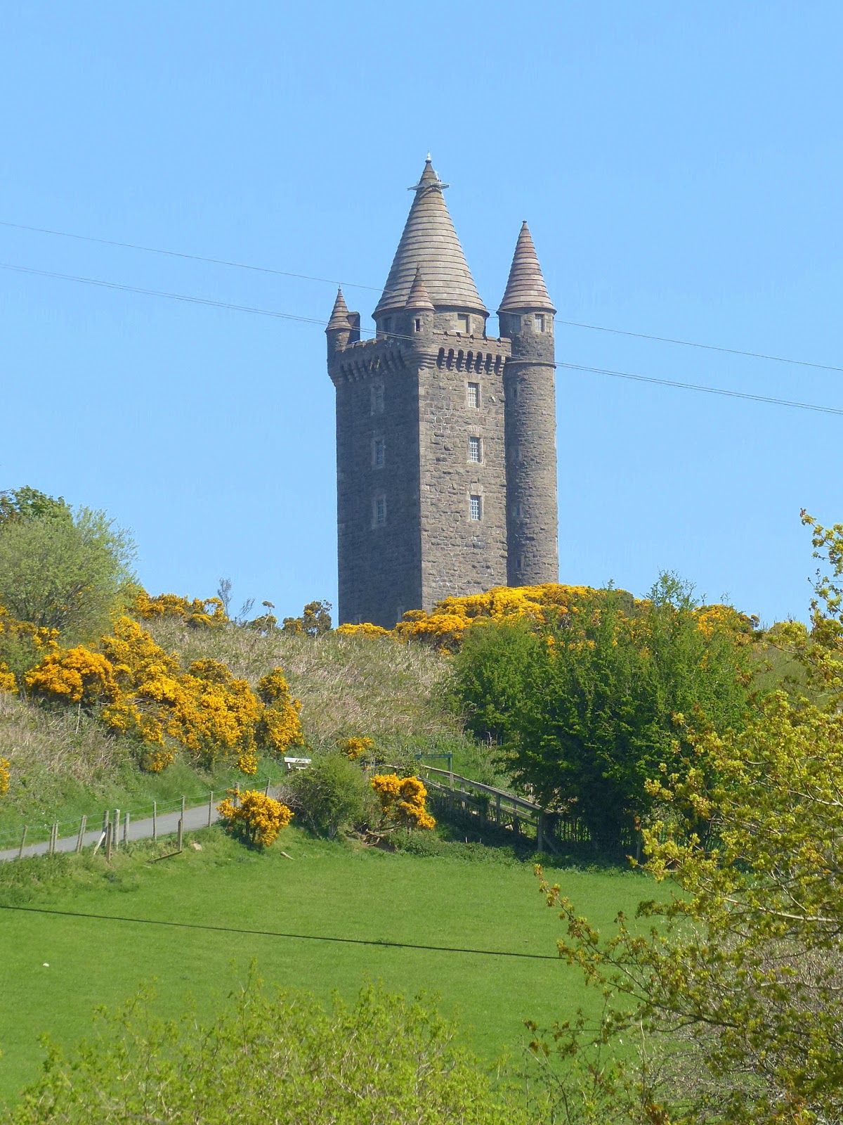 Birding For Pleasure: GOOD FENCES - Scrabo Tower, near Newtownards