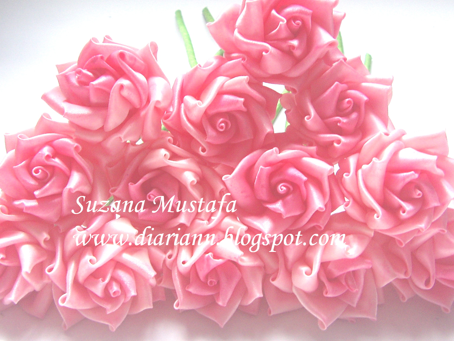 Suzana Mustafa: TEKNIK MEWARNA REBEN