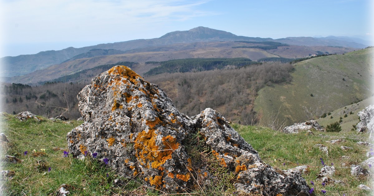 Da monte Iliche a Monte Scudiero e Santa Lucerna. Una domenica insieme ...