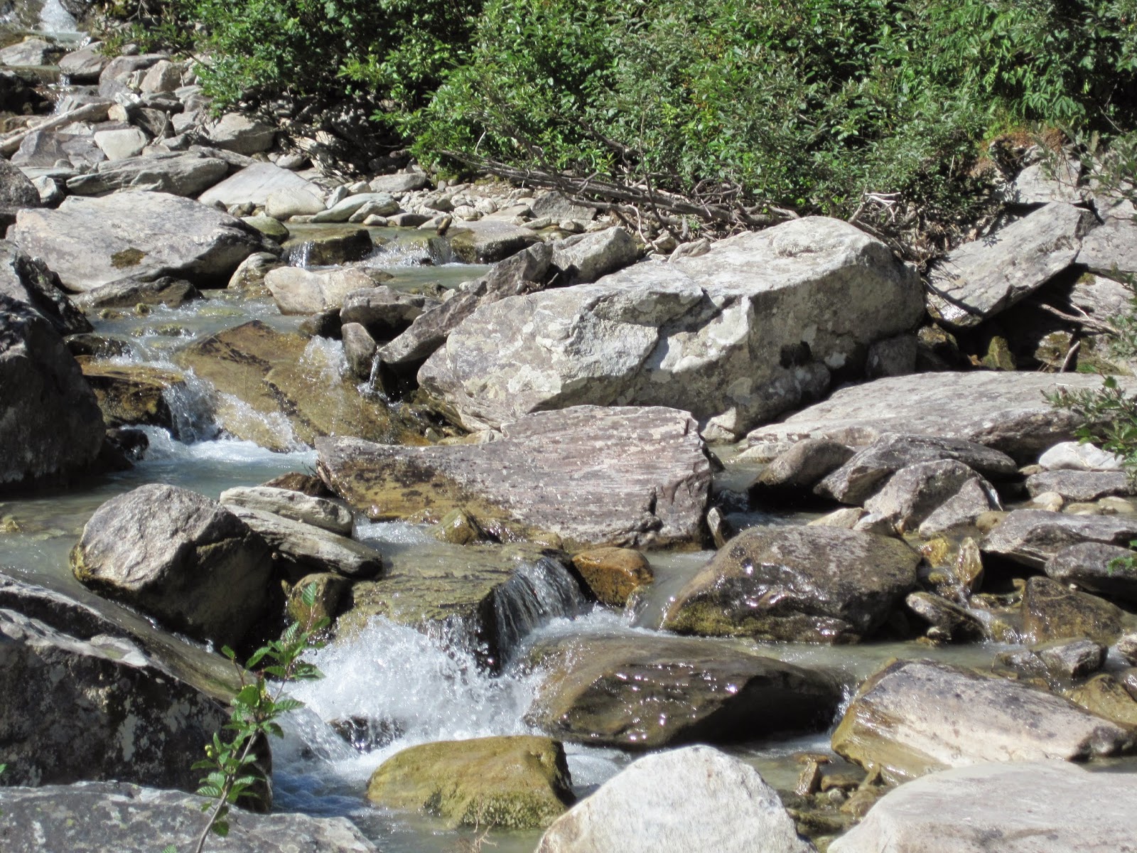 Wanderlust: Balu Pass: Glacier National Park