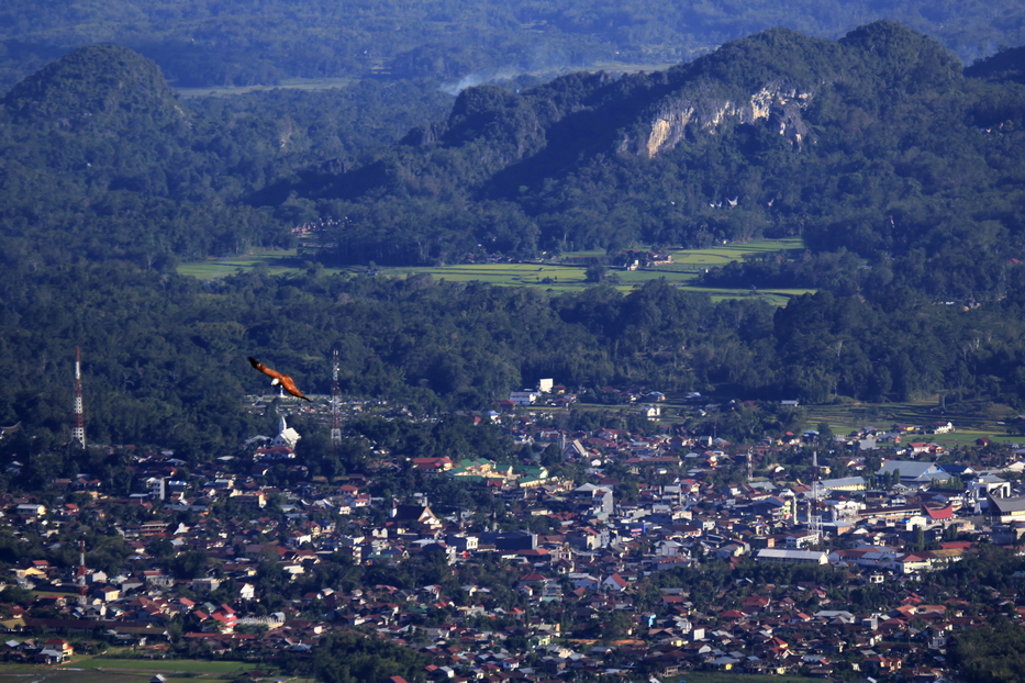 Traveler Guide: Welcome to Toraja