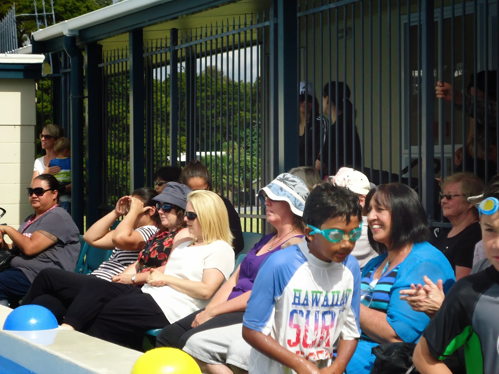 Room 8 Year 4 - Sunnybrae Normal School