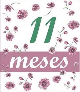 Universo Maternal: 11 meses...