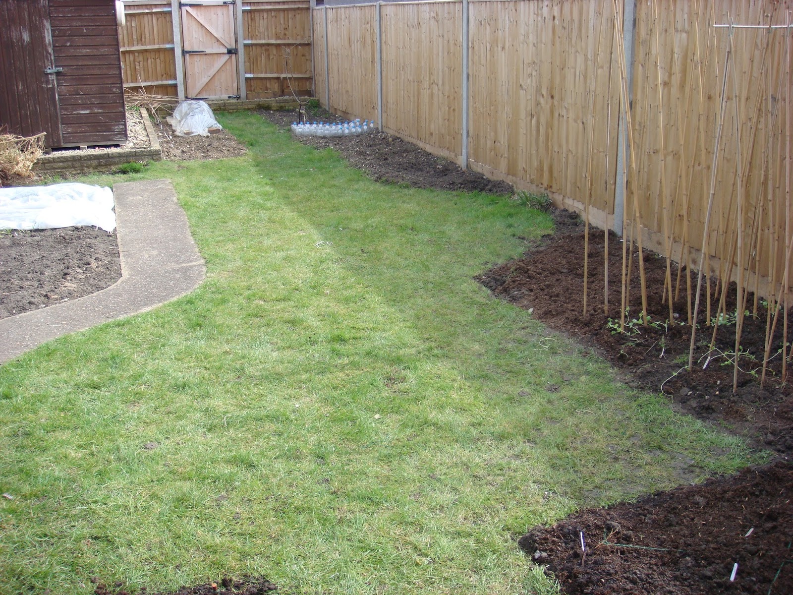 Veg patch from scratch: Edging makes a garden