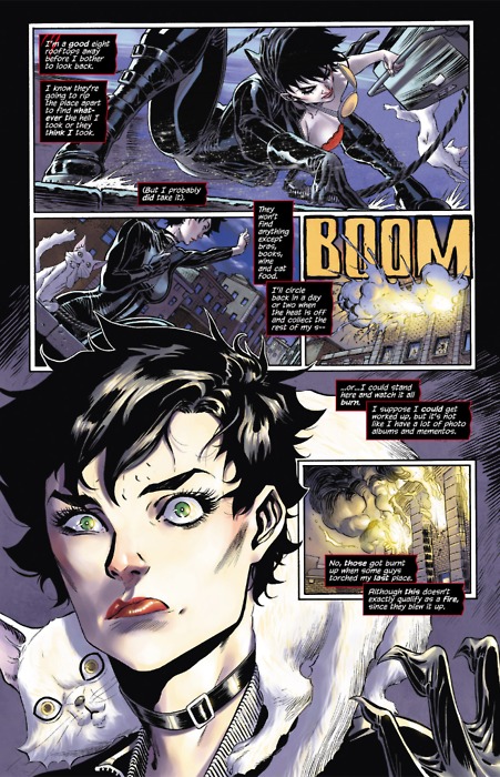 Bad Decisions The New 52 Catwoman