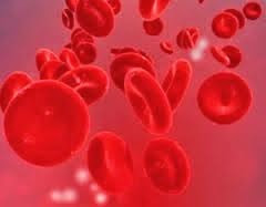 PENGERTIAN DAN ARTIKEL: Pengertian Sel Darah Merah (Eritrosit)