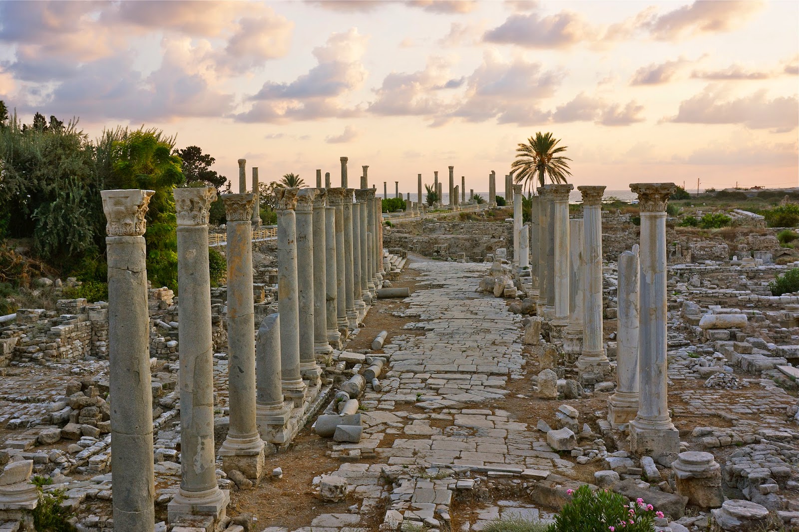 Roman Road and Columns in Tyre, Lebanon |Photoblog On-The-Go