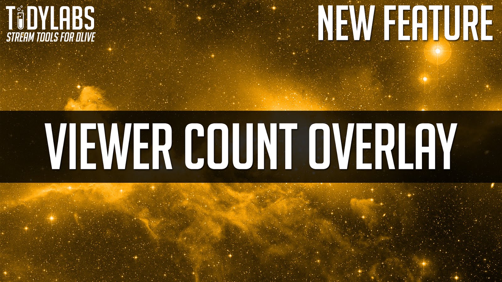 TidyLabs Update: Viewer Count Overlay