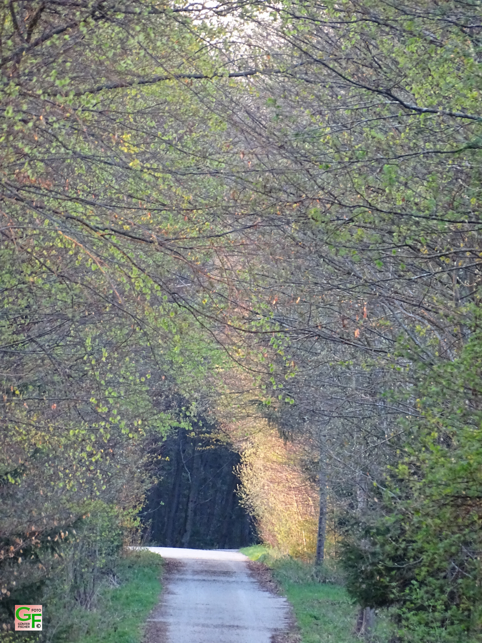 Wunder der Natur, Natur-Aufnahmen von Günter Fischer: Markt Isen/Bayern