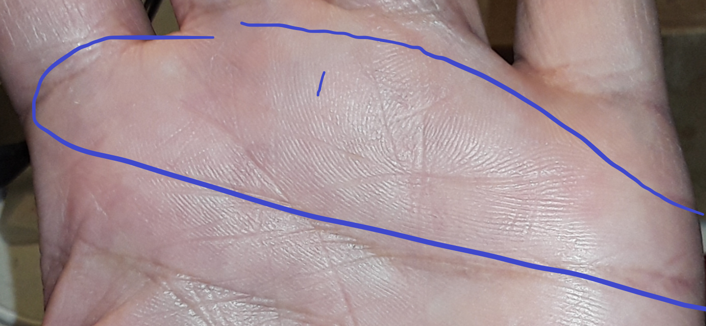 Chronicle Note: October 2018