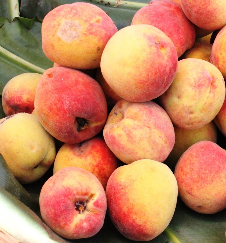 Cocinas y Recetas: Durazno