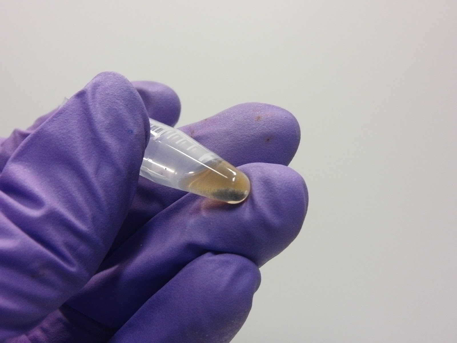 Lu Le Laboratory: Preparation of Thioacetamide - Organosulfur Compounds ...
