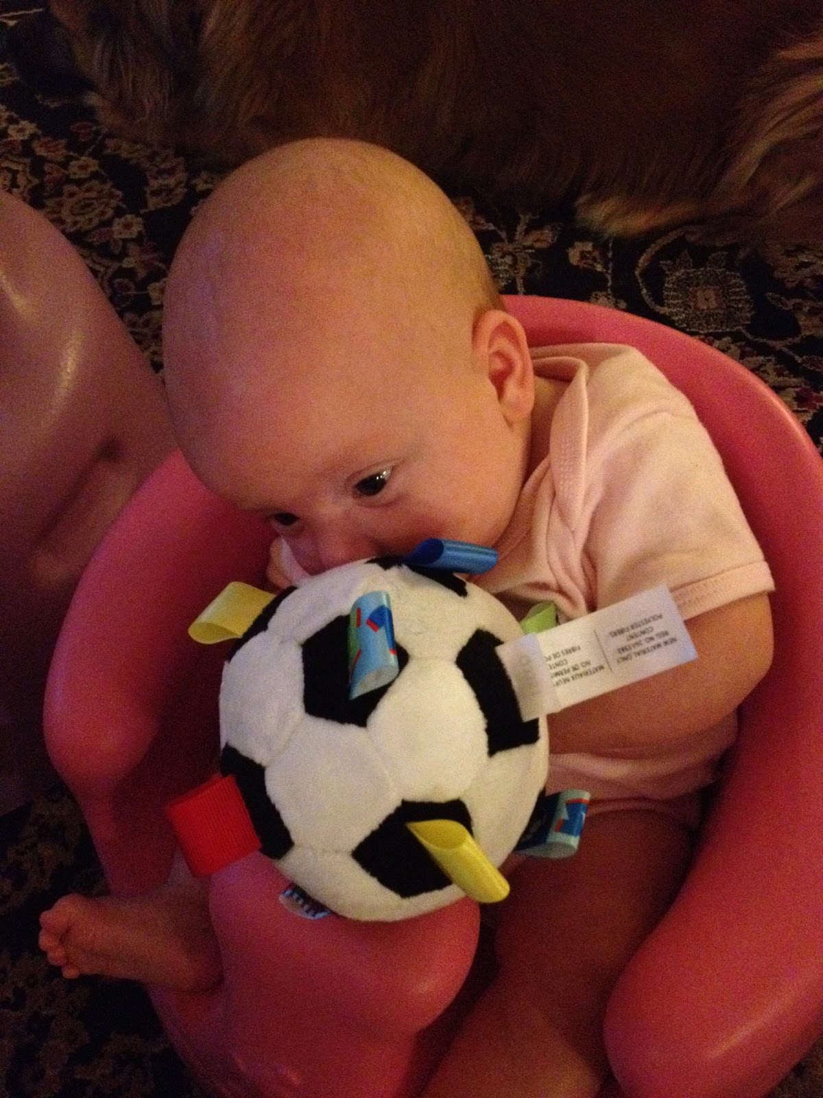 The Pair of Scates: Austin First Steps, plus My Last Week of Freedom!