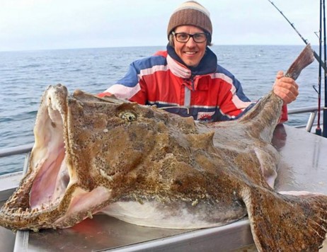 10 Hewan Yang Paling Jelek Didunia ~ D4erahku