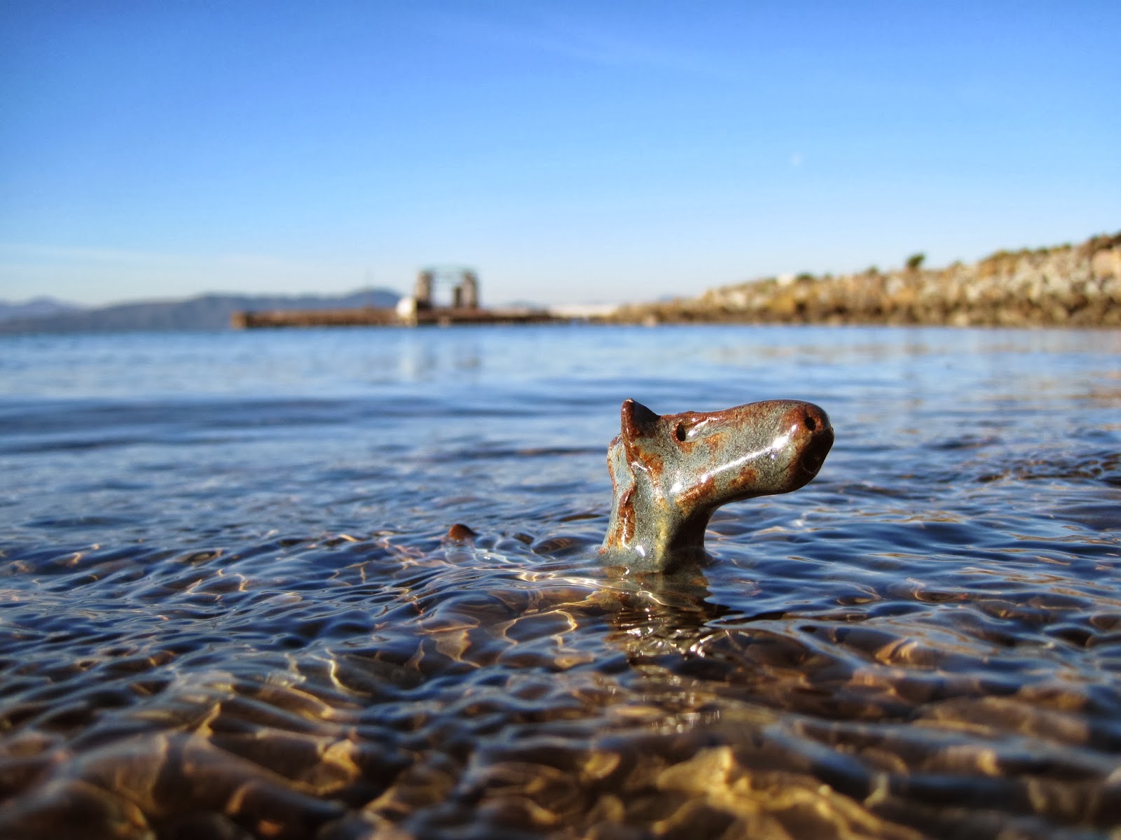 Matt Duckworth Underwater: Reindeer, Swimming