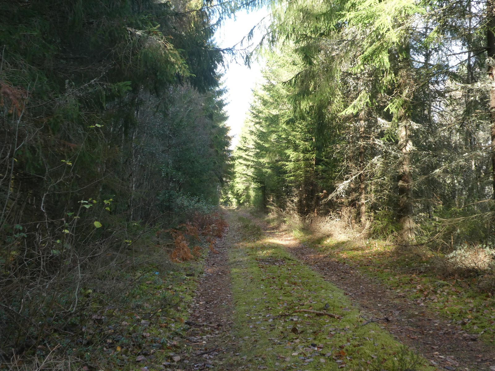 Skånska Resor: På cykel till Loshult