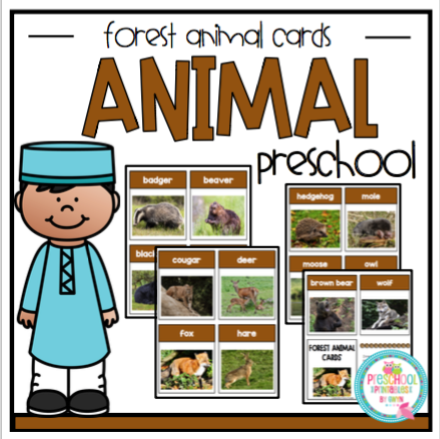 Forest Animal Cards with Real Pictures ~ Preschool Printables
