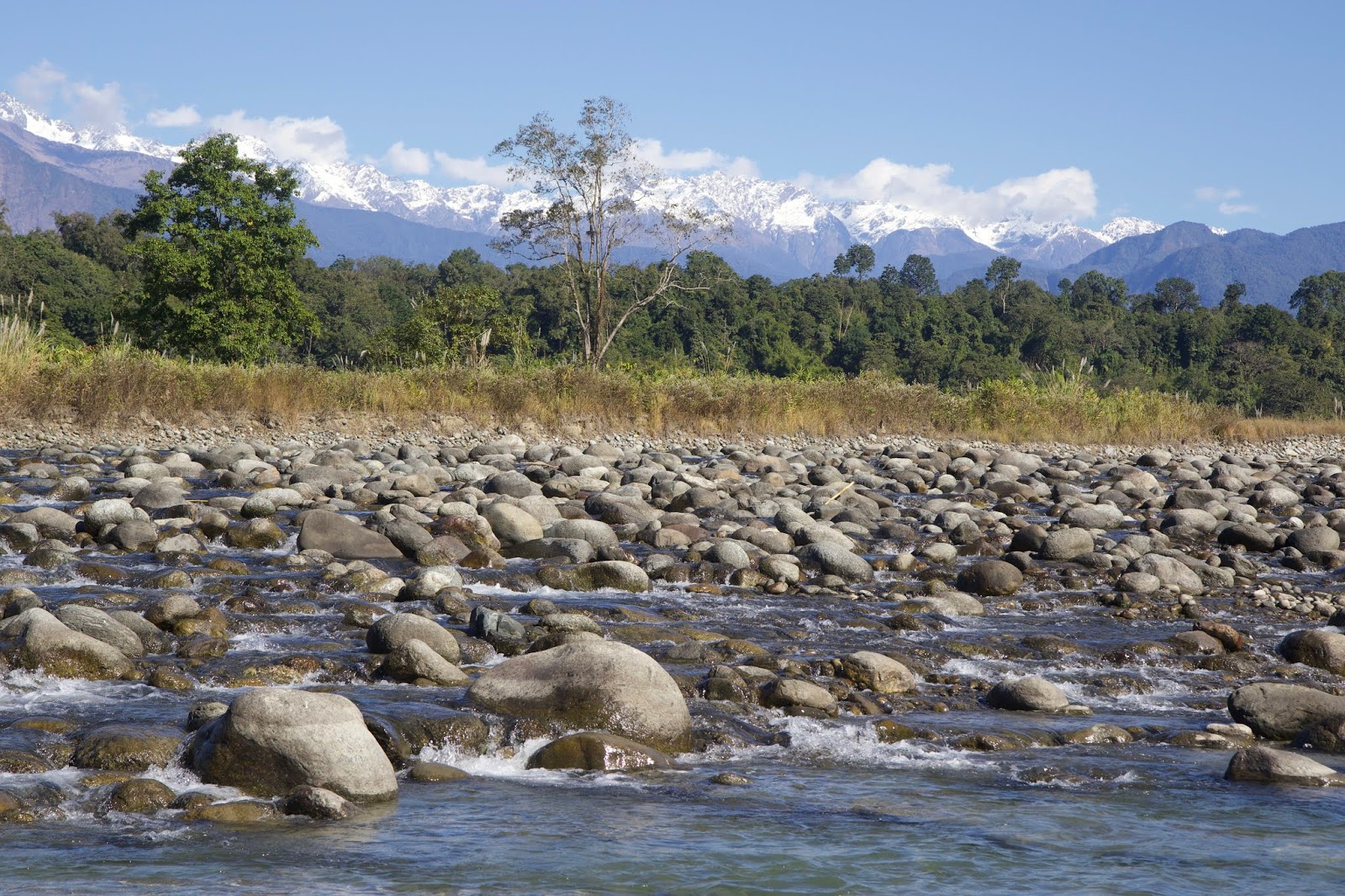 Namdapha National Park - Pure Wilderness