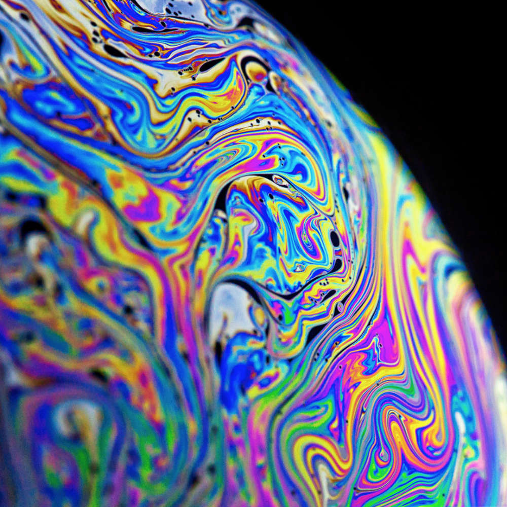 memor: Best science photographs of 2017