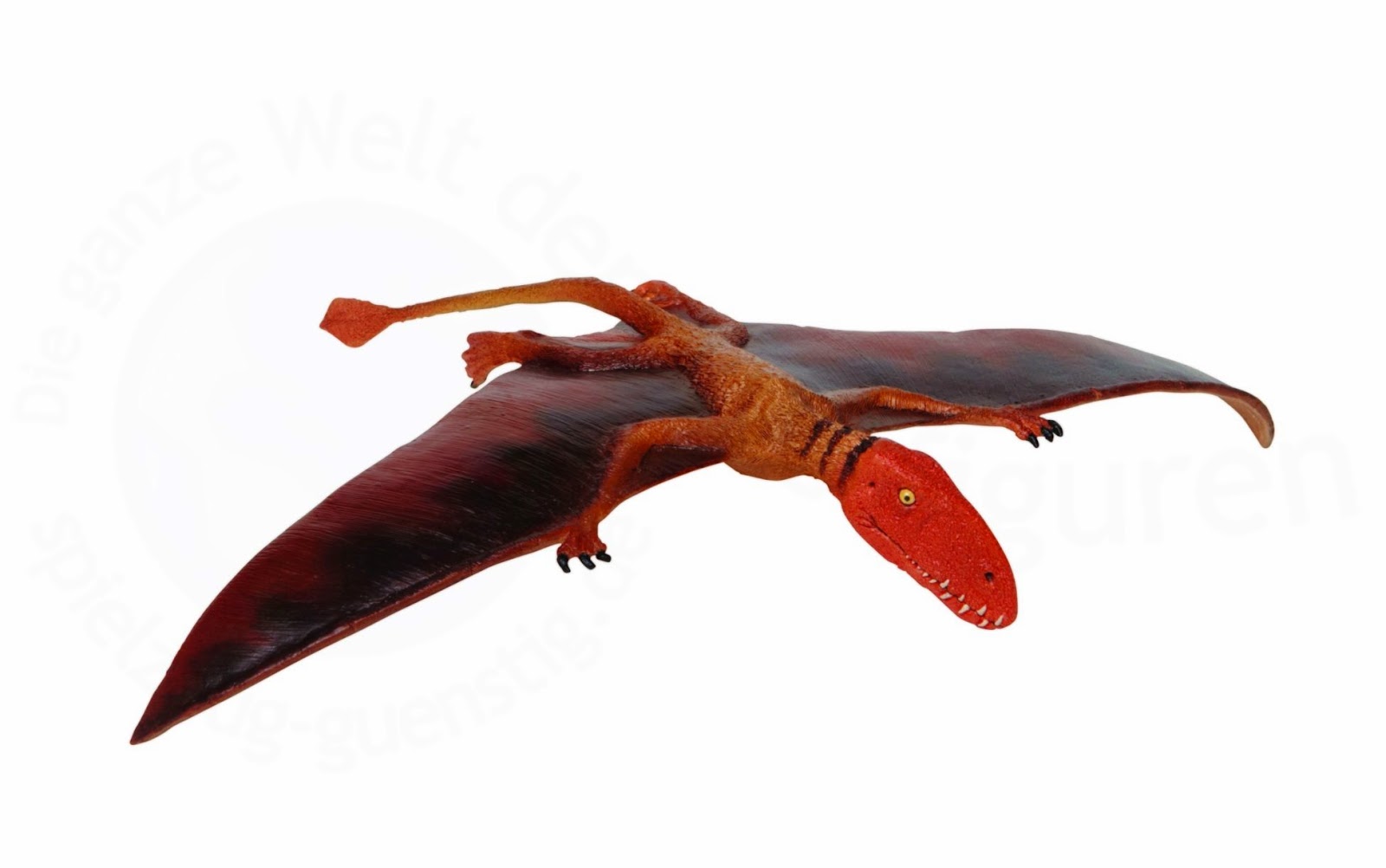 Viki y su colección de dinosaurios: Dimorphodon