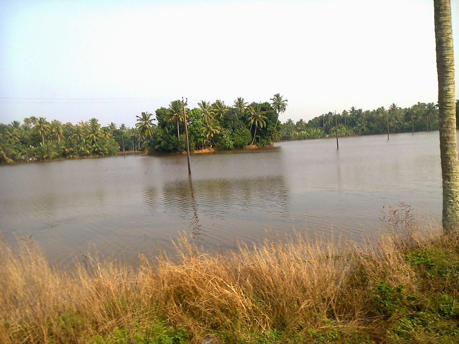 Kuttanad Diaries : Candid Shots From Champakulam, Alappuzha