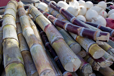 We love Our Bangladesh: Sugar cane(Aakh/Ikkhu/Gendari/Kushor) a source ...