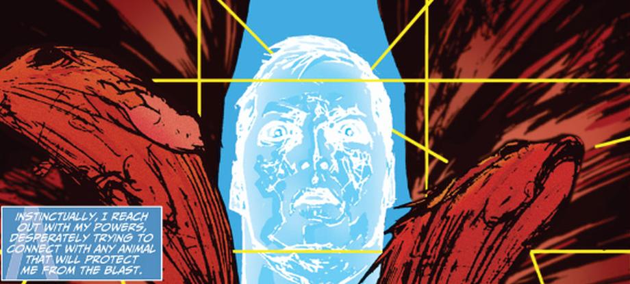 Review: Animal Man #1 ~ The 52 Review