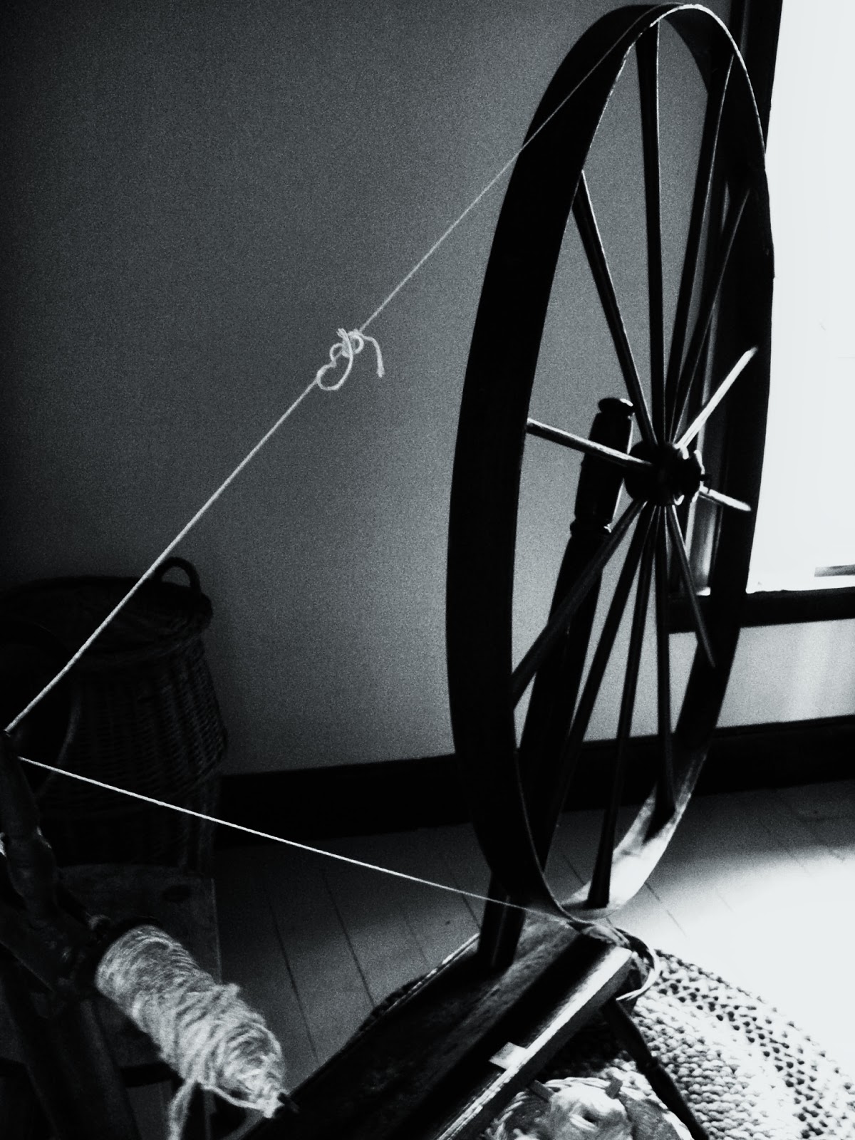 Urban Hippie Brownie Cat